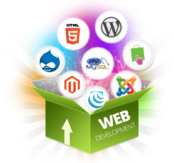 A Day in the Life of a Programmer